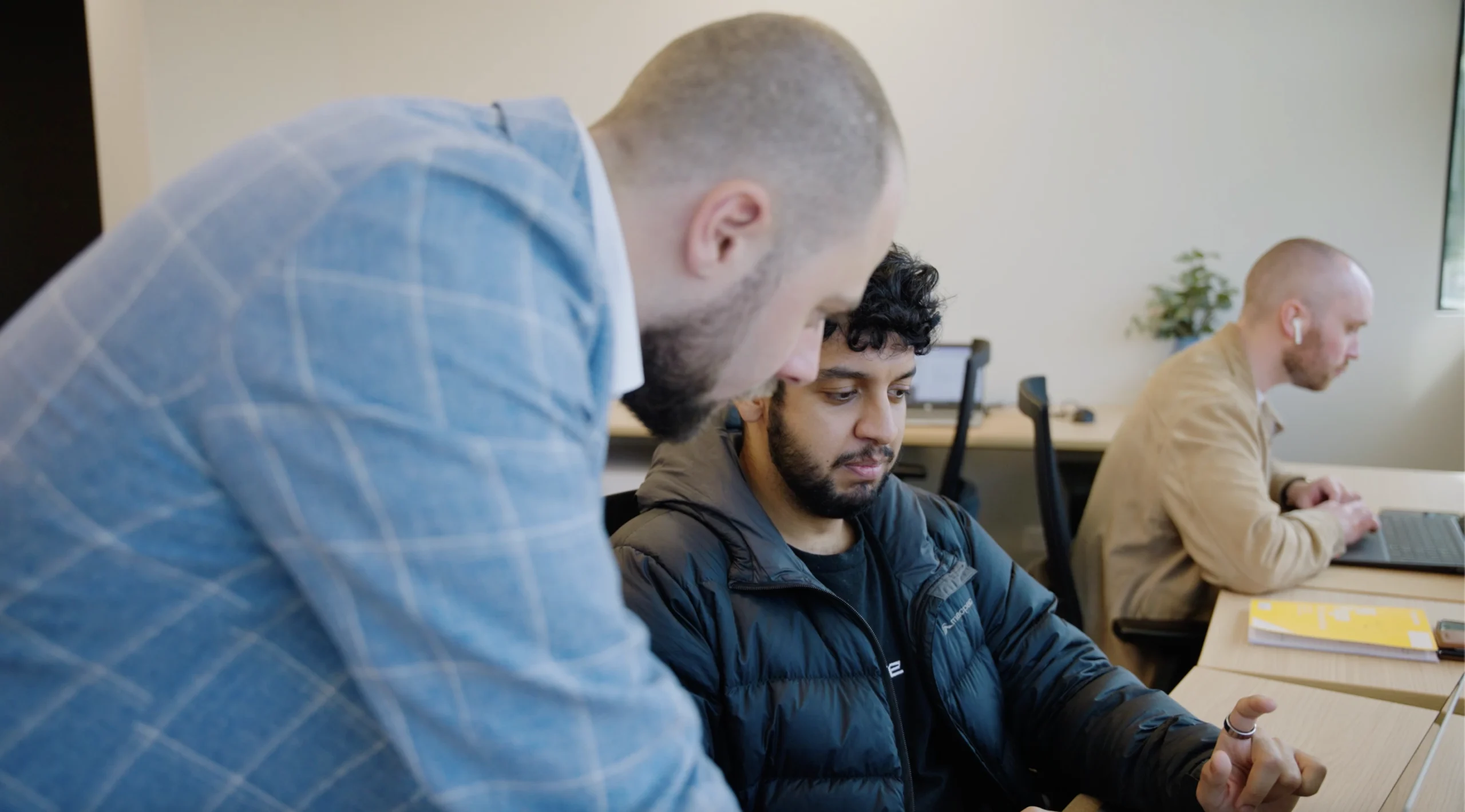 About BluFire | BluFire